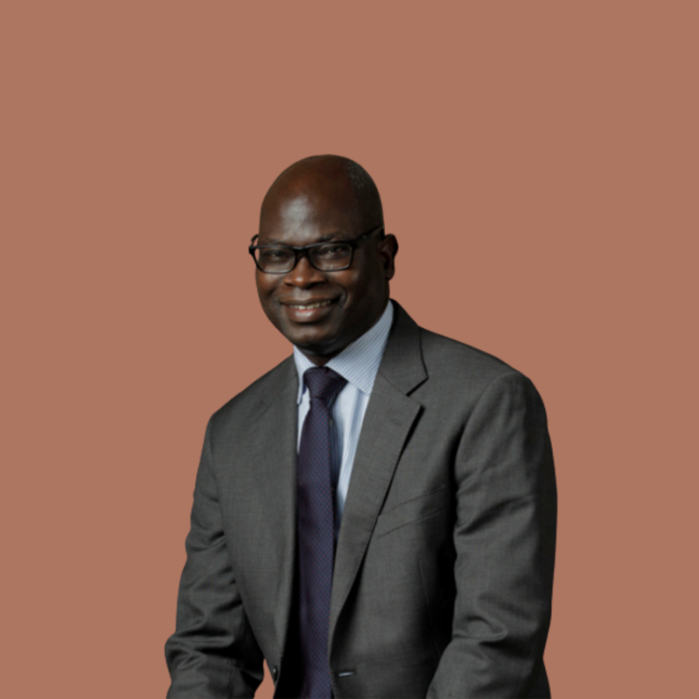 Board Members - Centre for Contemporary Art, Lagos